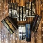 La saga Shadowhunters della scrittrice Cassandra Clare